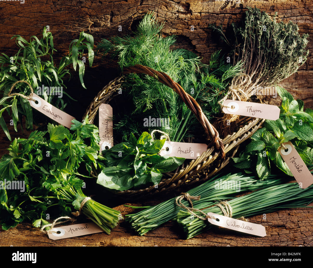 Selection of herbs Stock Photo - Alamy