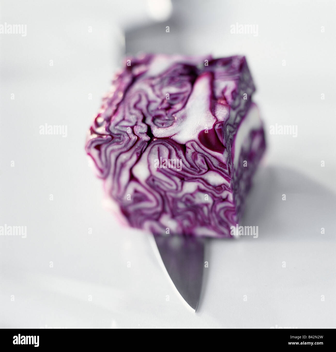cube of purple cabbage Stock Photo - Alamy