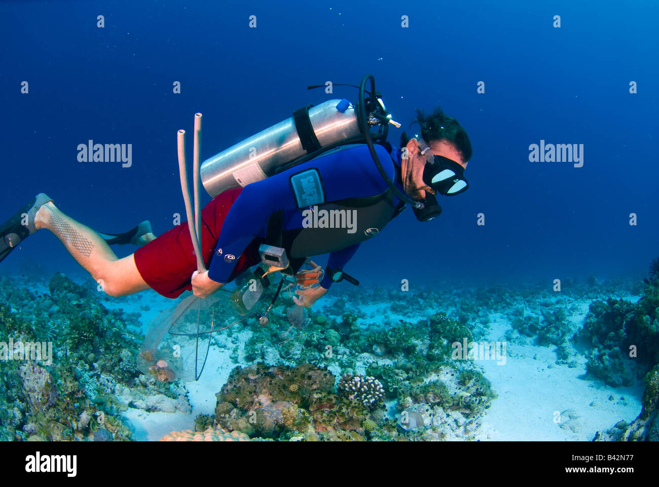 Scientist Underwater