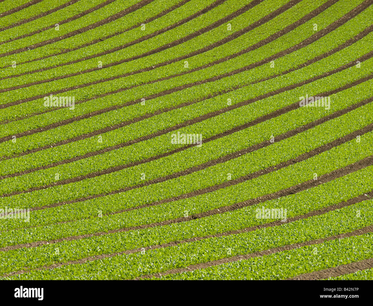 Diagonal lines furrows hi-res stock photography and images - Alamy