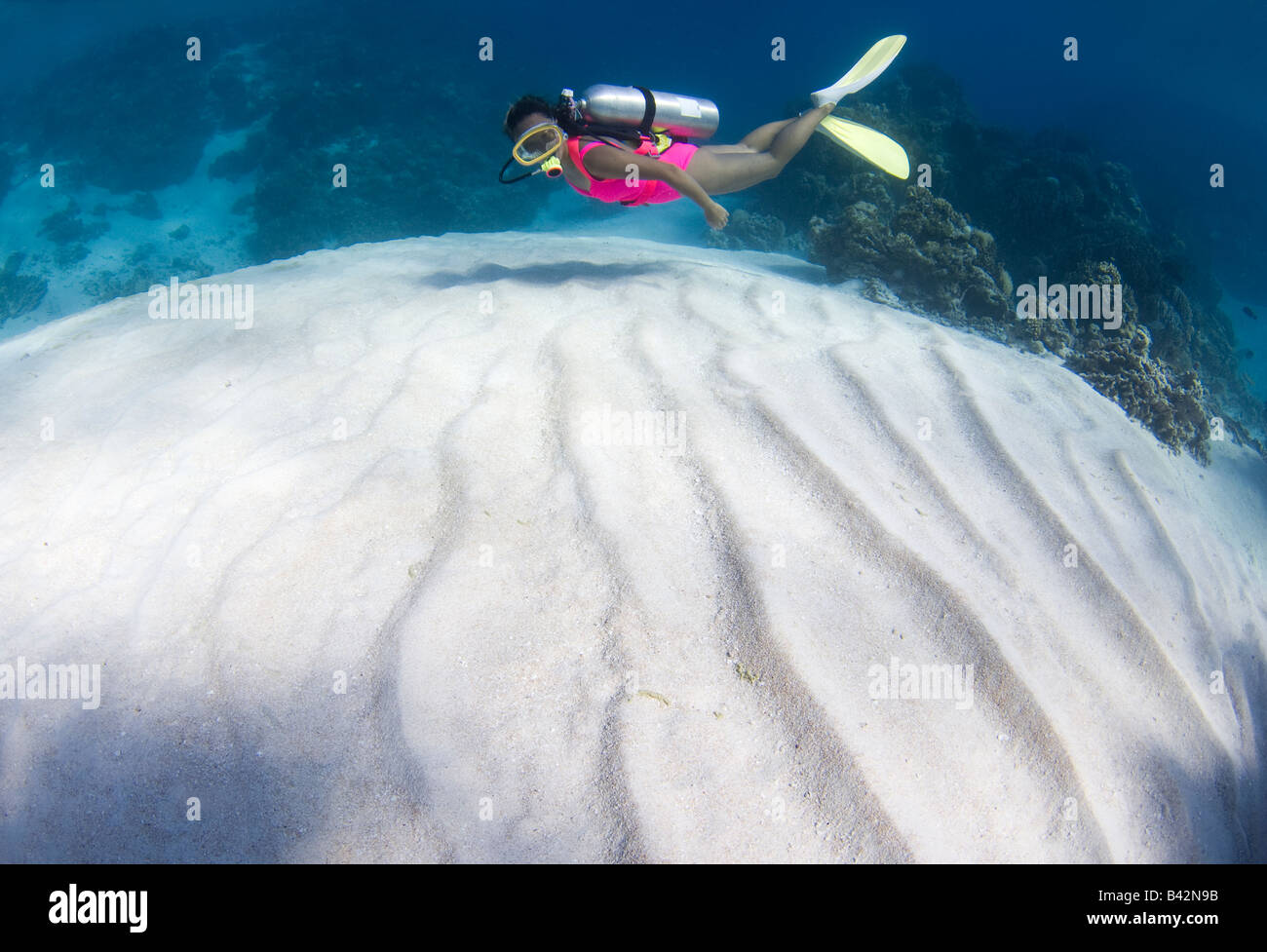 Underwater sand bank hi-res stock photography and images - Alamy