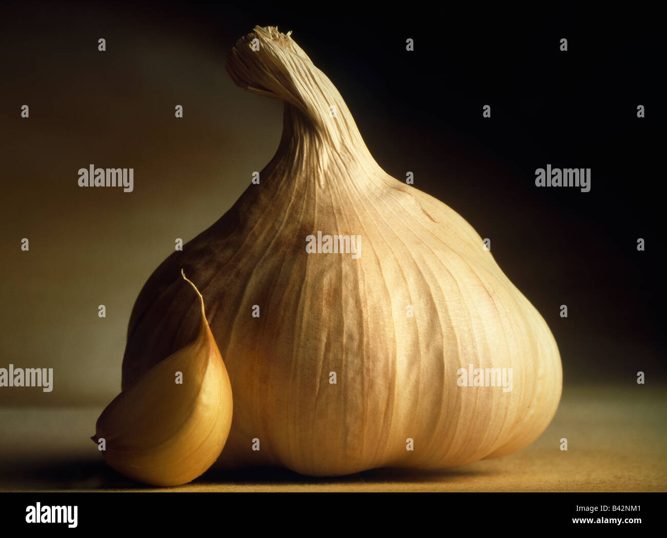 Clove of garlic Stock Photo - Alamy