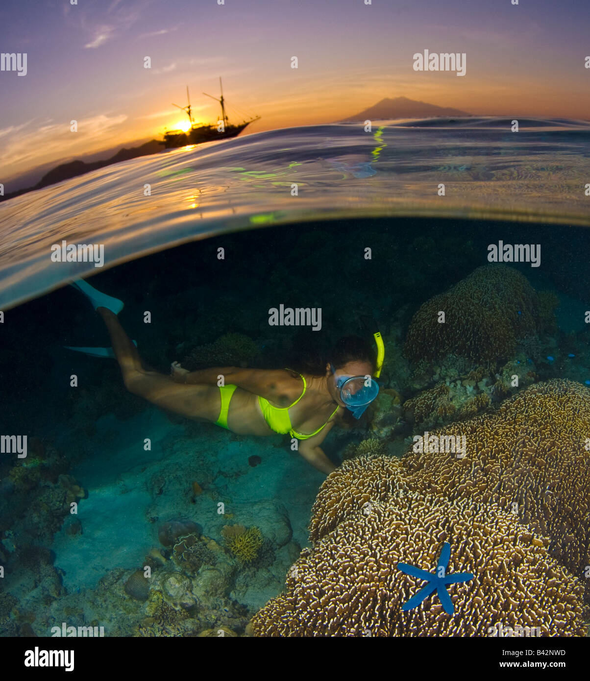 Night snorkeling hi-res stock photography and images - Alamy