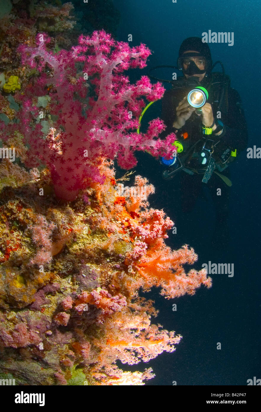 Pohnpei, Micronesia High Resolution Stock Photography and Images - Alamy