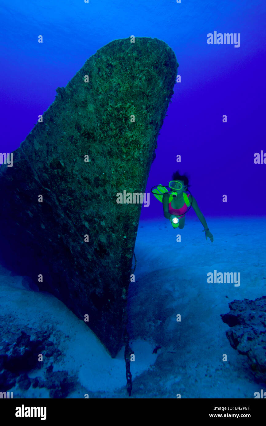 Release snake hi-res stock photography and images - Alamy