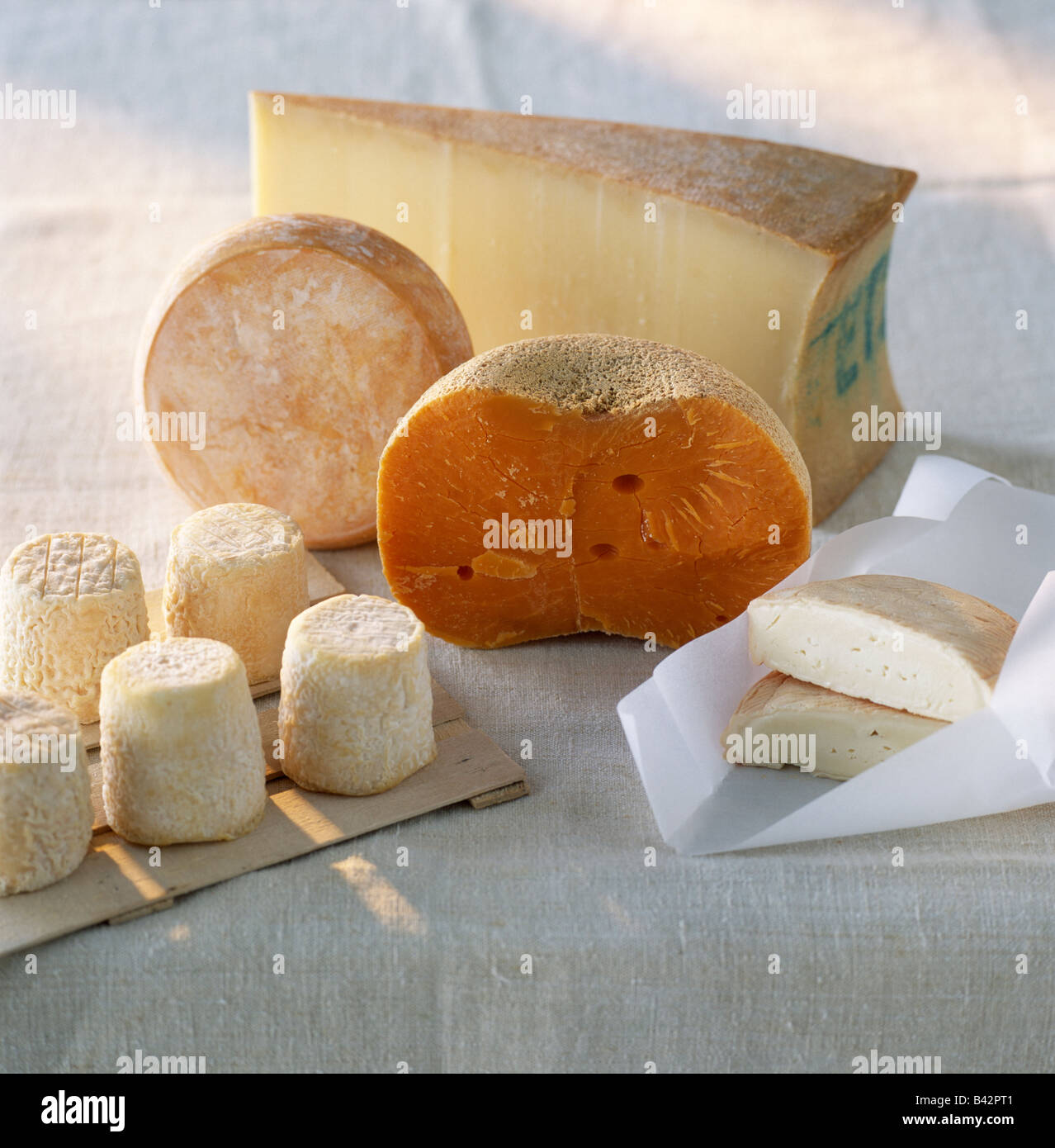 Selection of cheeses Stock Photo - Alamy