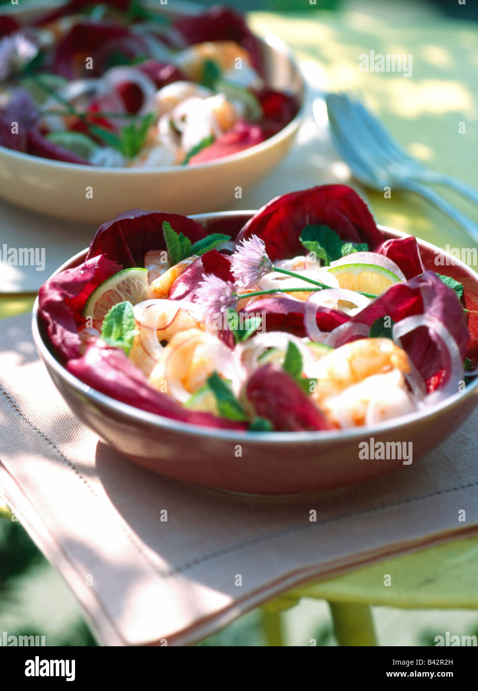 Endive and shrimp salad Stock Photo - Alamy