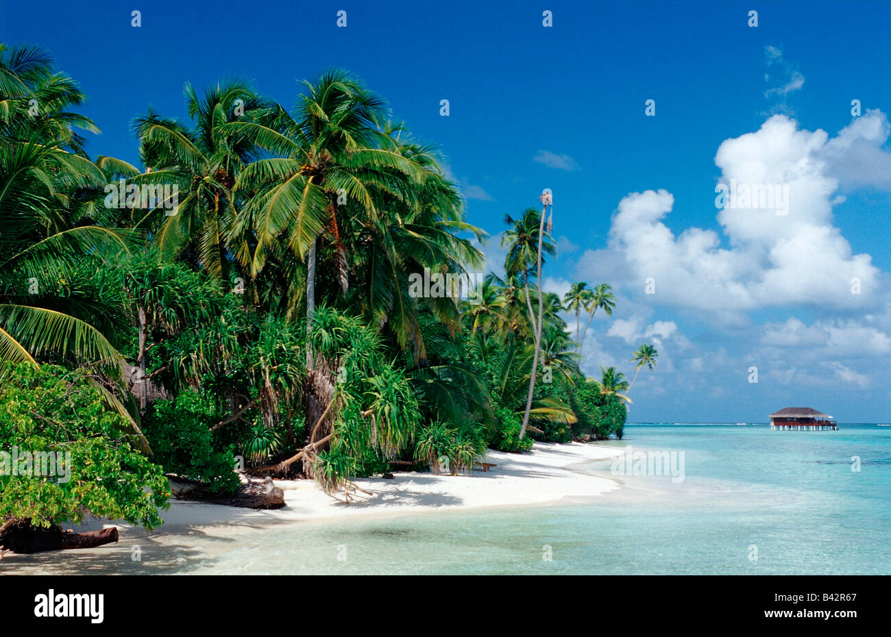 Beach at Maledives Island Indian Ocean Maldives Stock Photo - Alamy