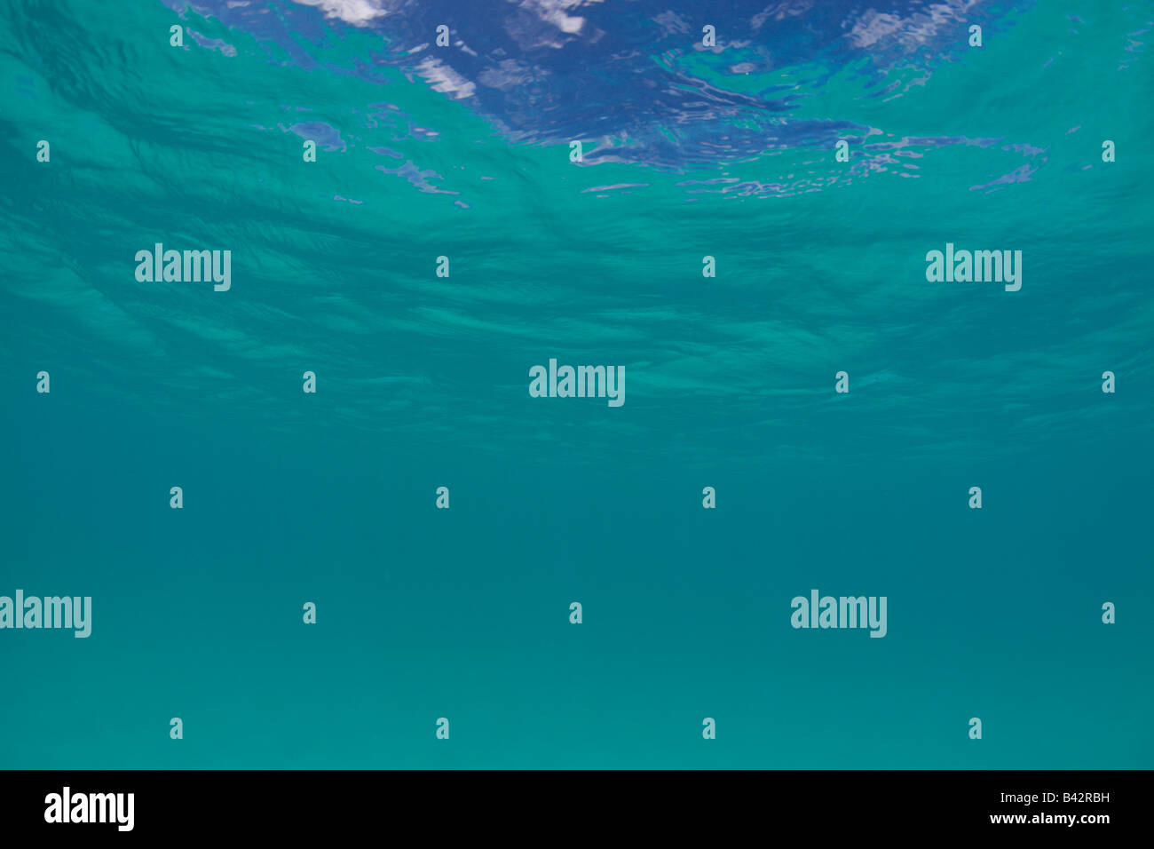 Lagoon marine life scenery hi-res stock photography and images - Alamy