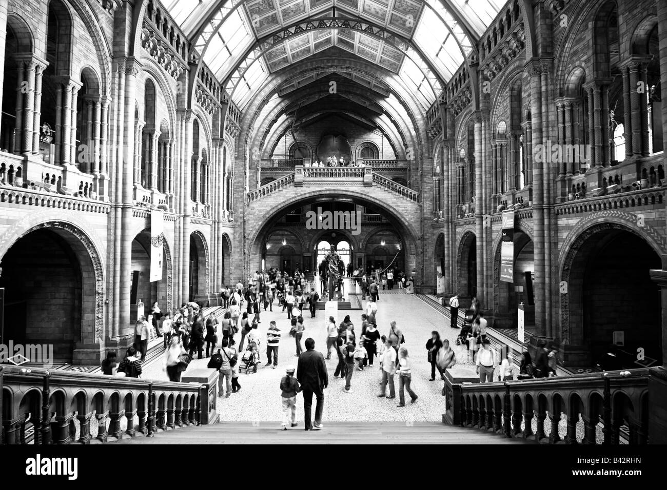 Iconic natural history museum Black and White Stock Photos & Images - Alamy