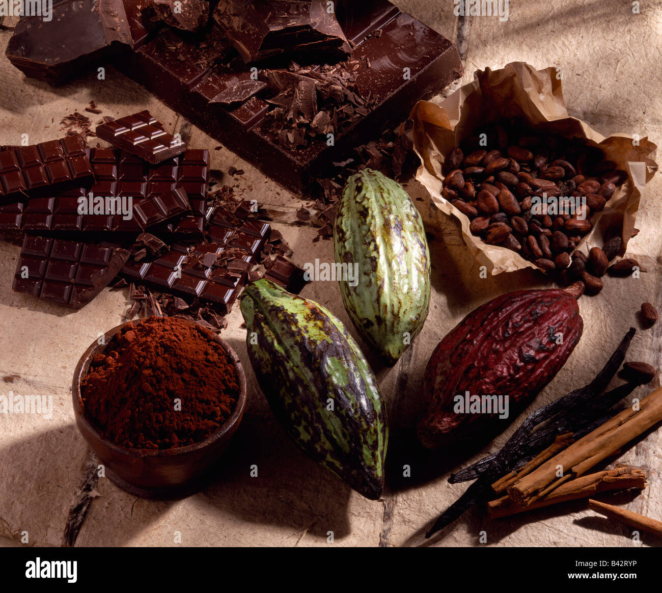 Cacao beans and shell Stock Photo - Alamy
