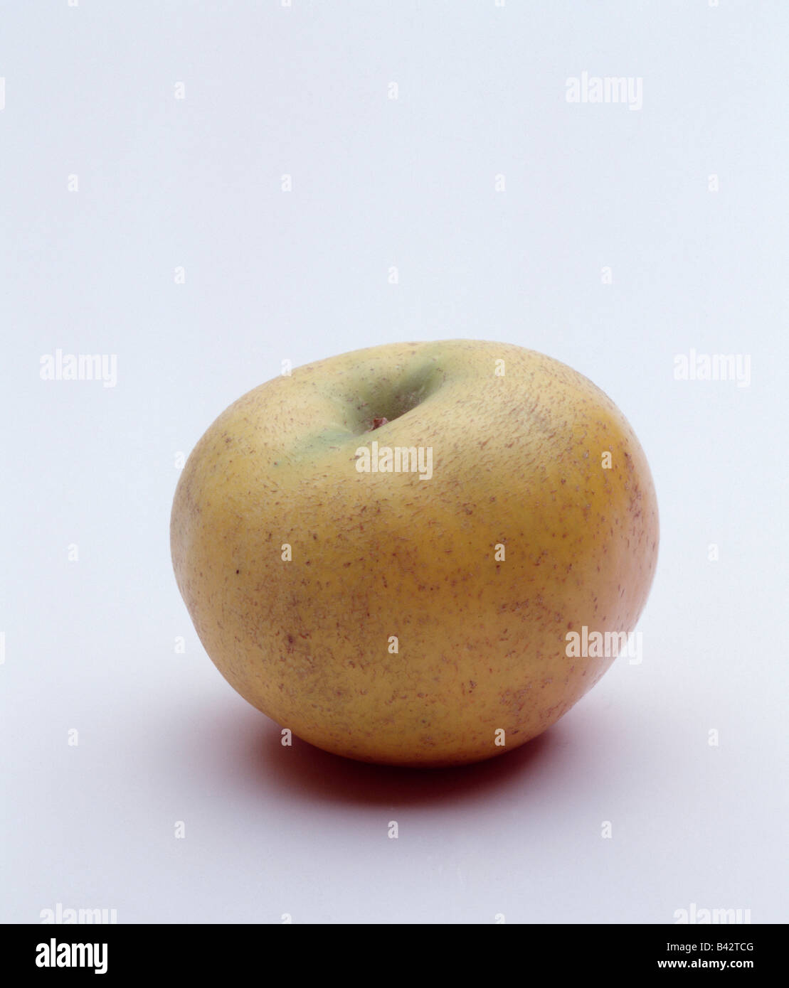 Reinette clochard hi-res stock photography and images - Alamy