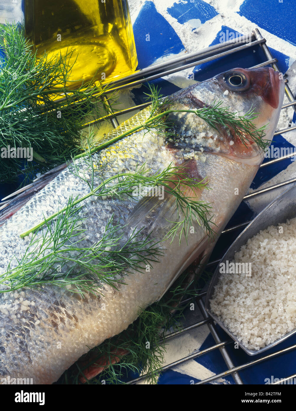 Bass with fennel Stock Photo - Alamy