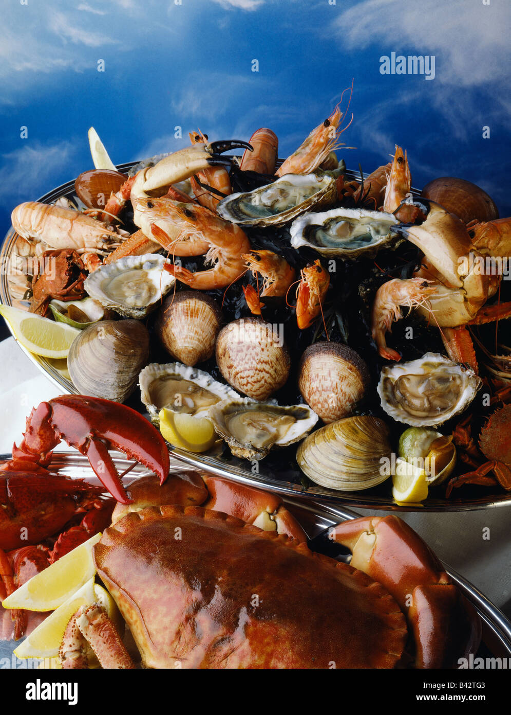 Tray of shellfish Stock Photo - Alamy