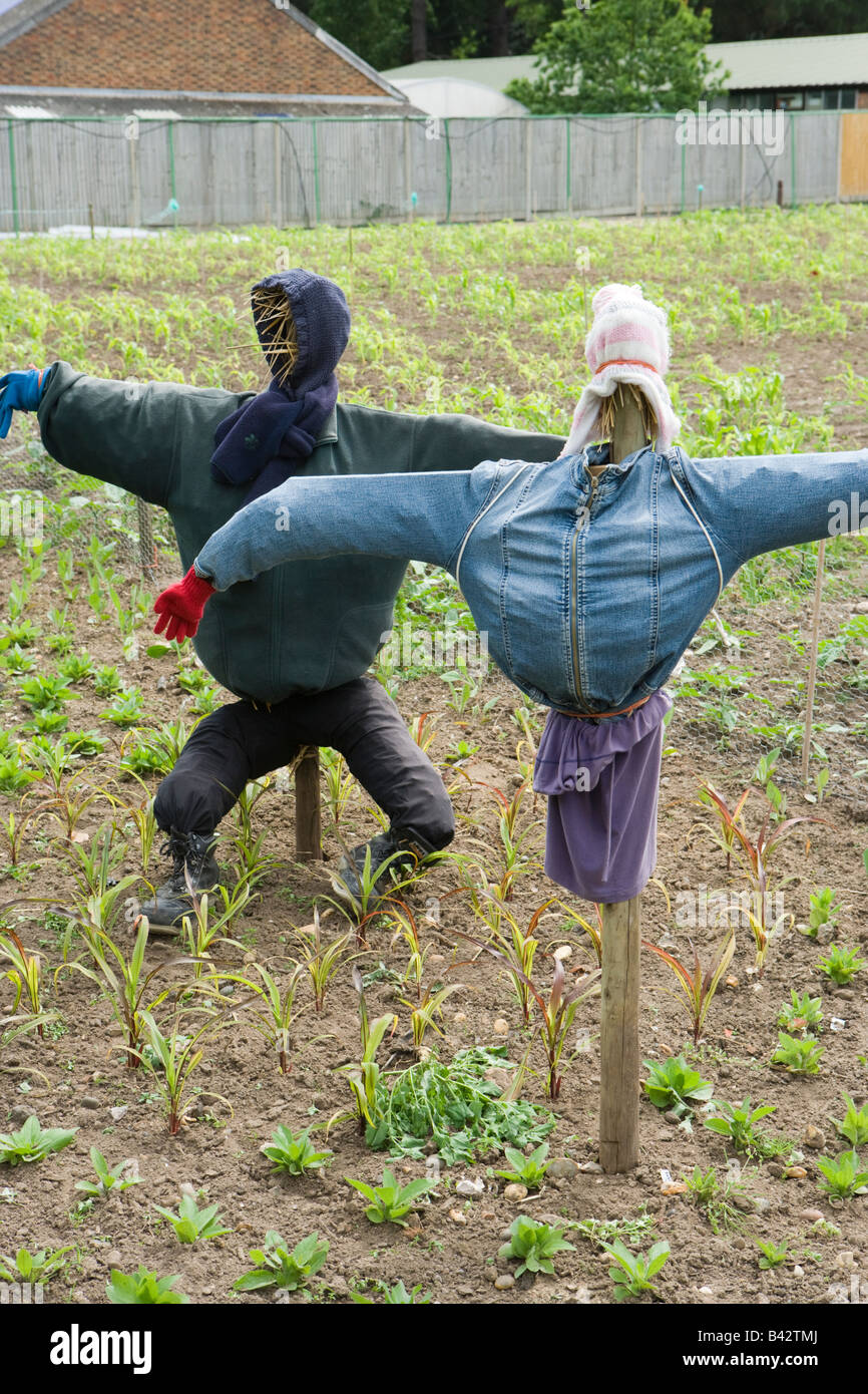 Scarecrows hi-res stock photography and images - Alamy