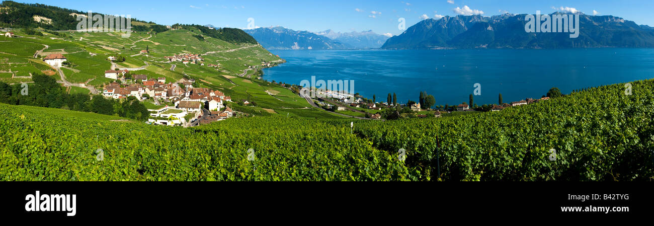 Lavaux schweiz hi-res stock photography and images - Alamy