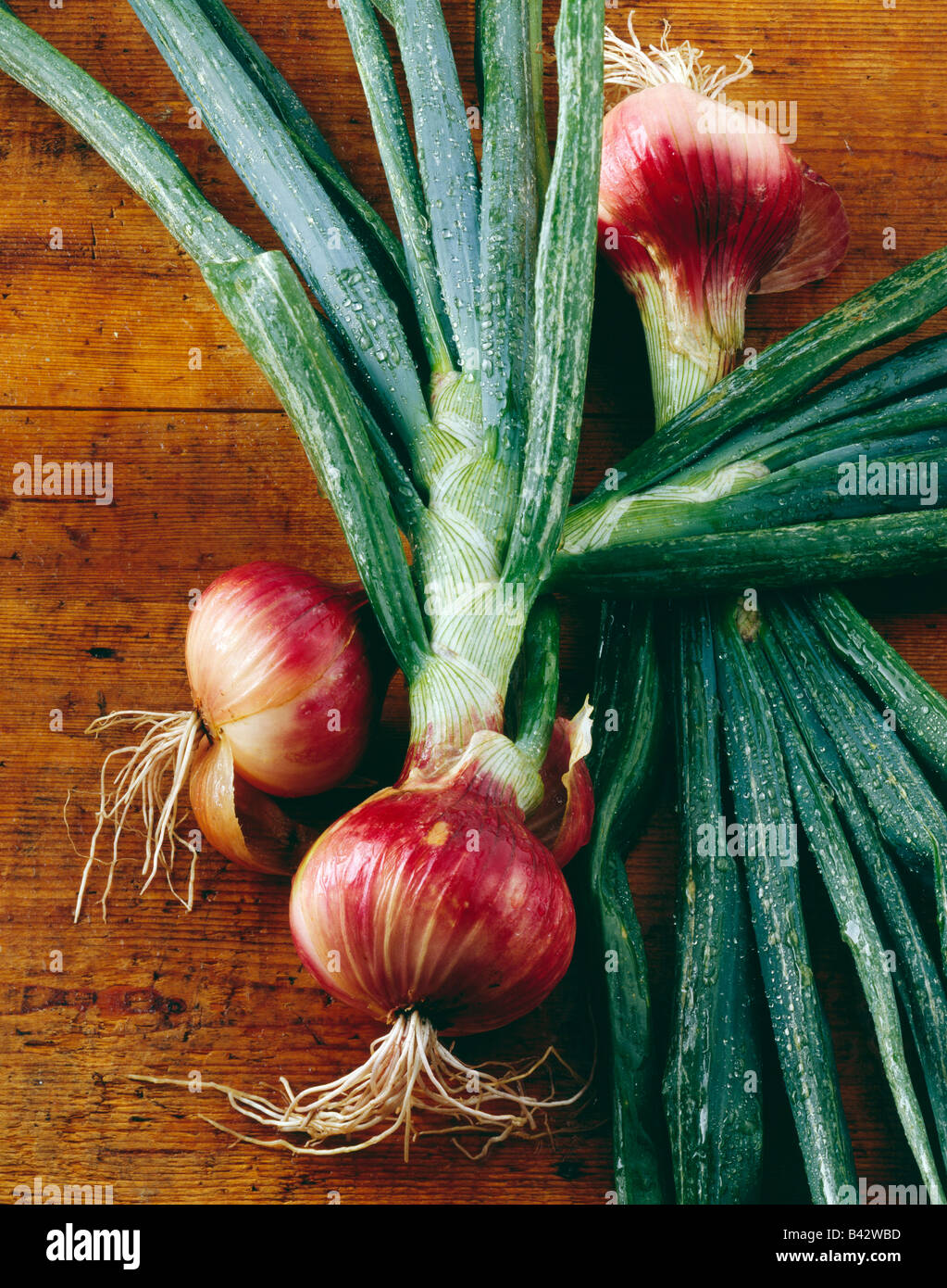 Pink and brown onions hi-res stock photography and images - Alamy