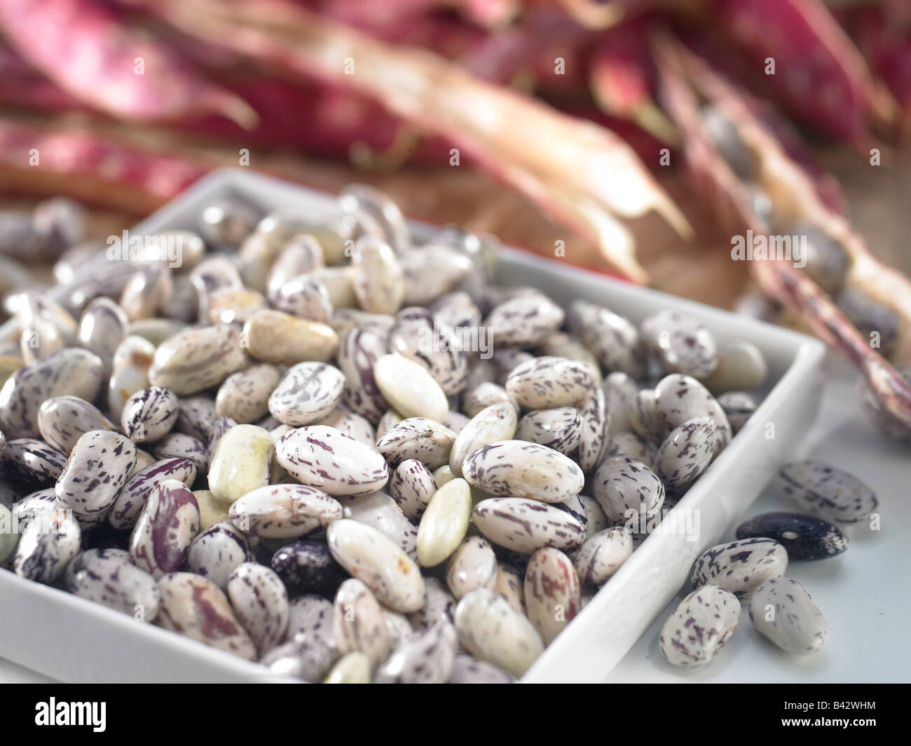 Fresh white beans Stock Photo - Alamy