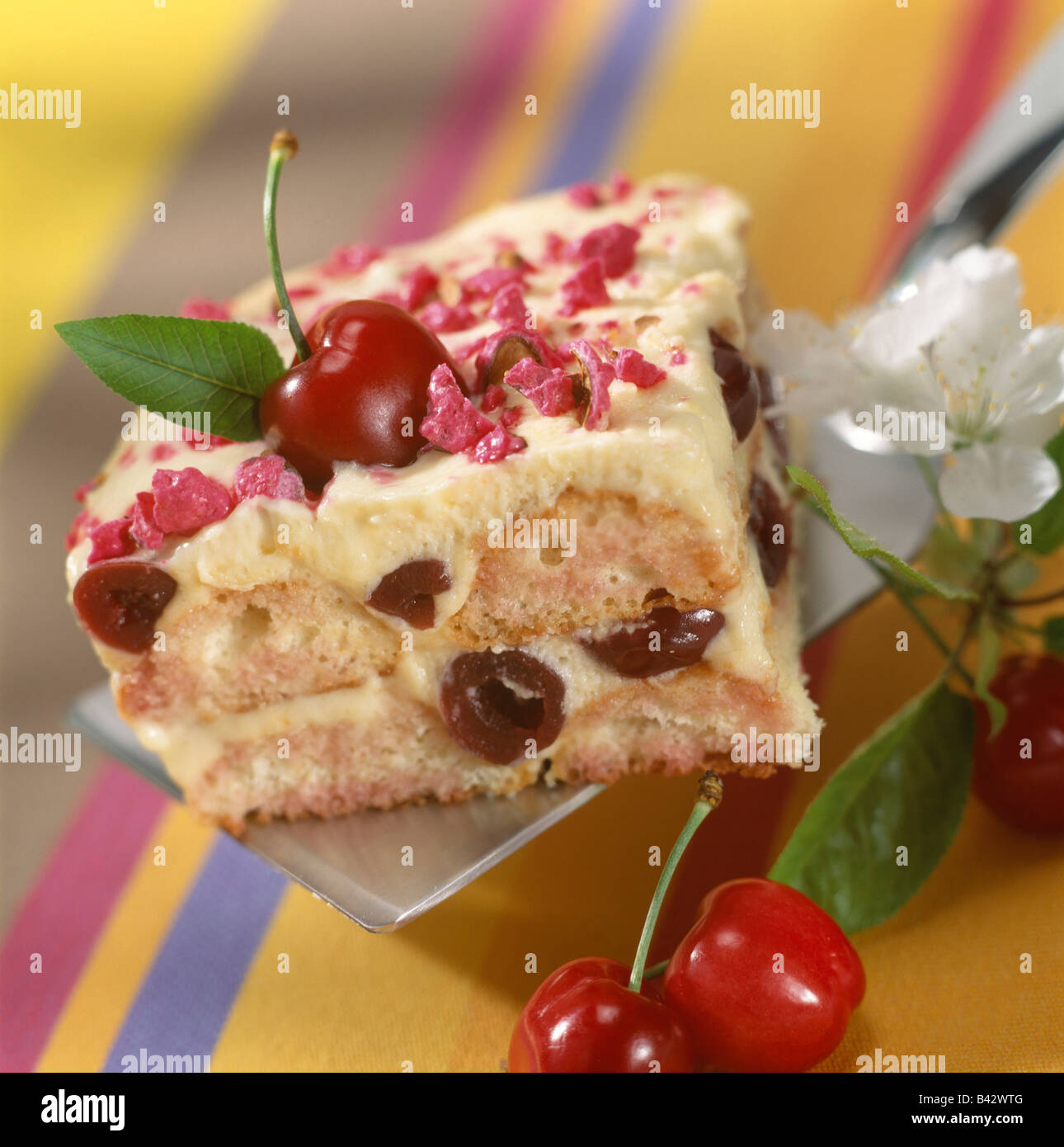 Griotte Cherry High Resolution Stock Photography and Images - Alamy