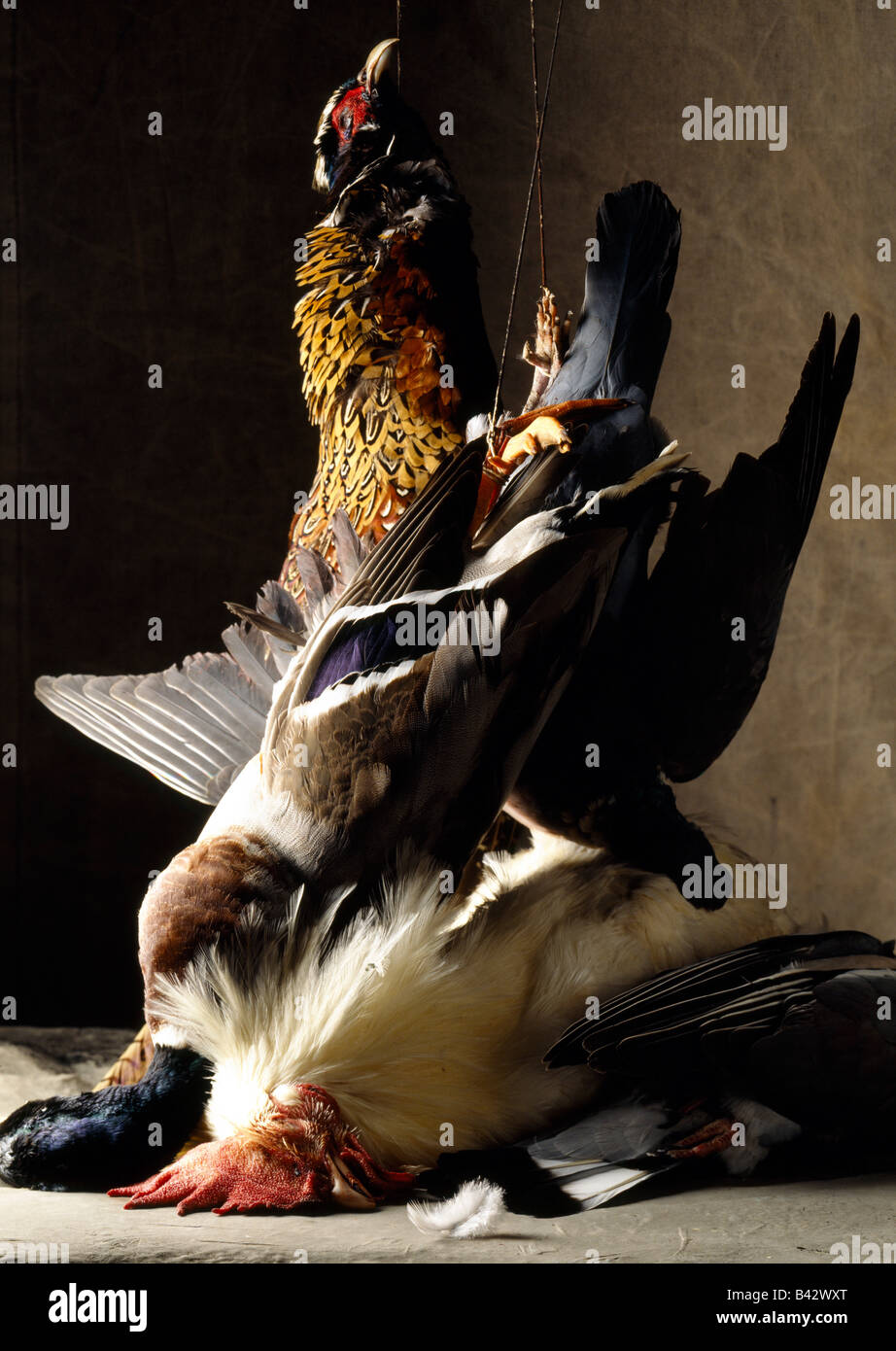 Still life with dead poultry hi-res stock photography and images - Alamy