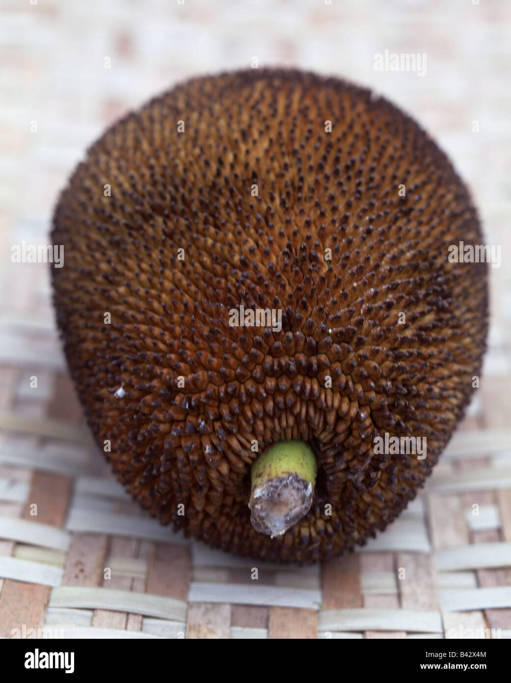 Jaque hi-res stock photography and images - Alamy