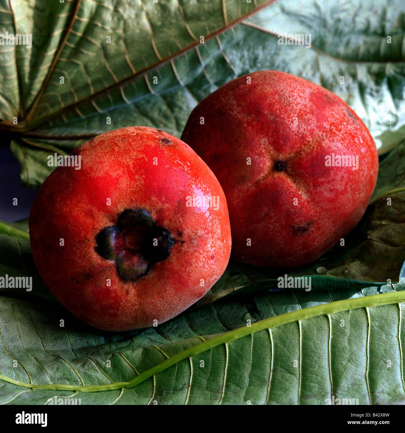 Charon hi-res stock photography and images - Alamy