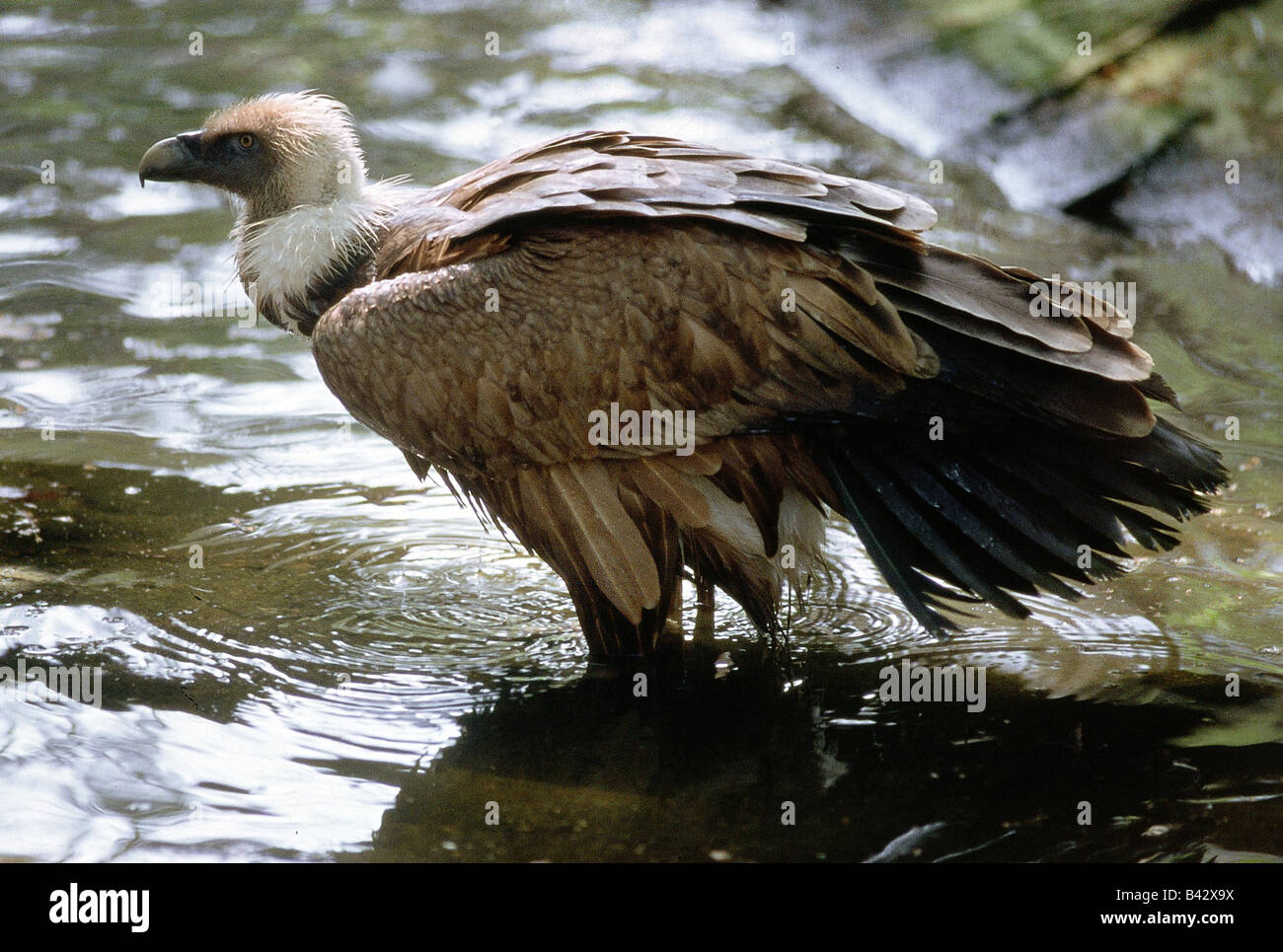 Southern europe and north africa hi-res stock photography and images ...