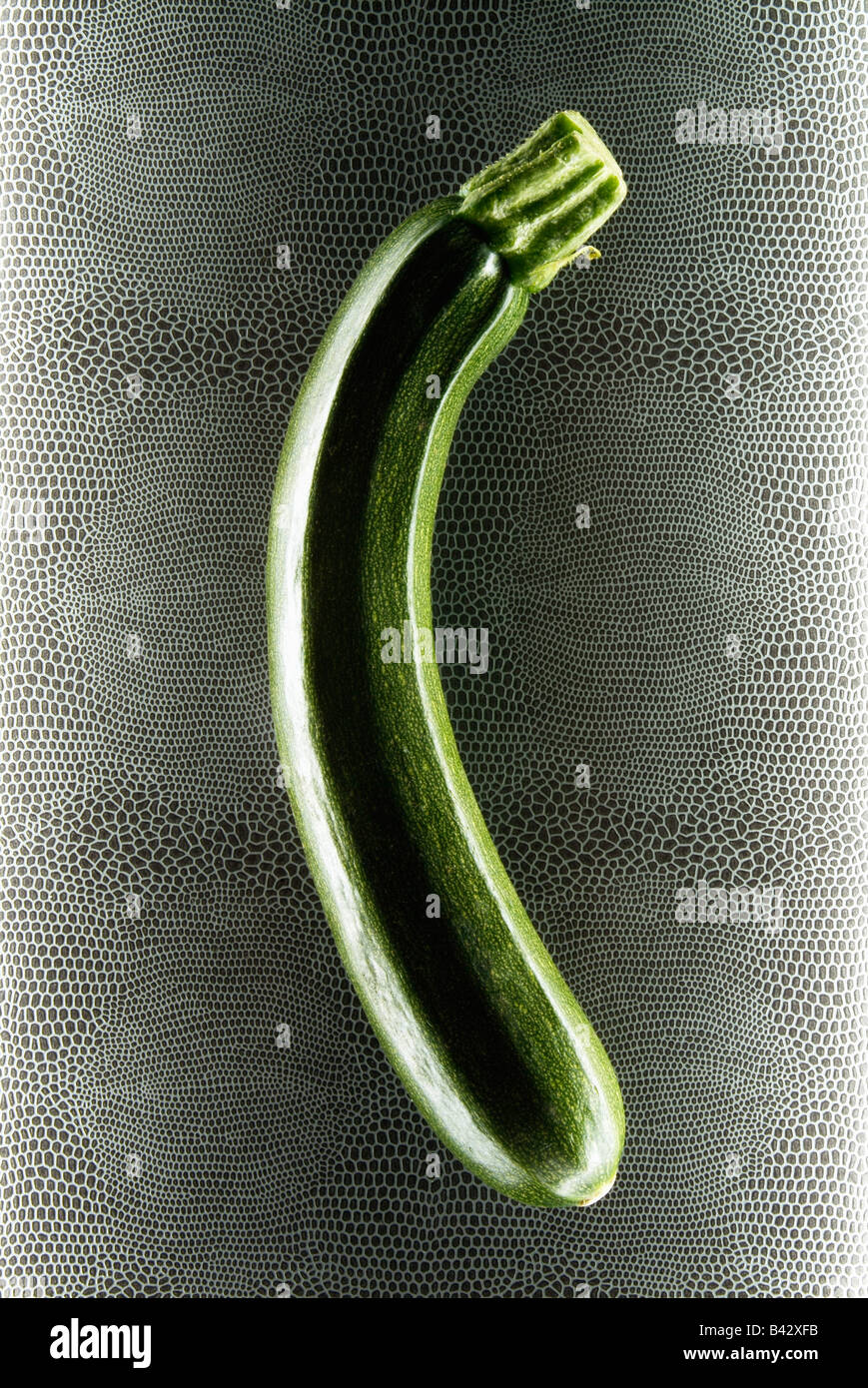 Snake lattice hi-res stock photography and images - Alamy