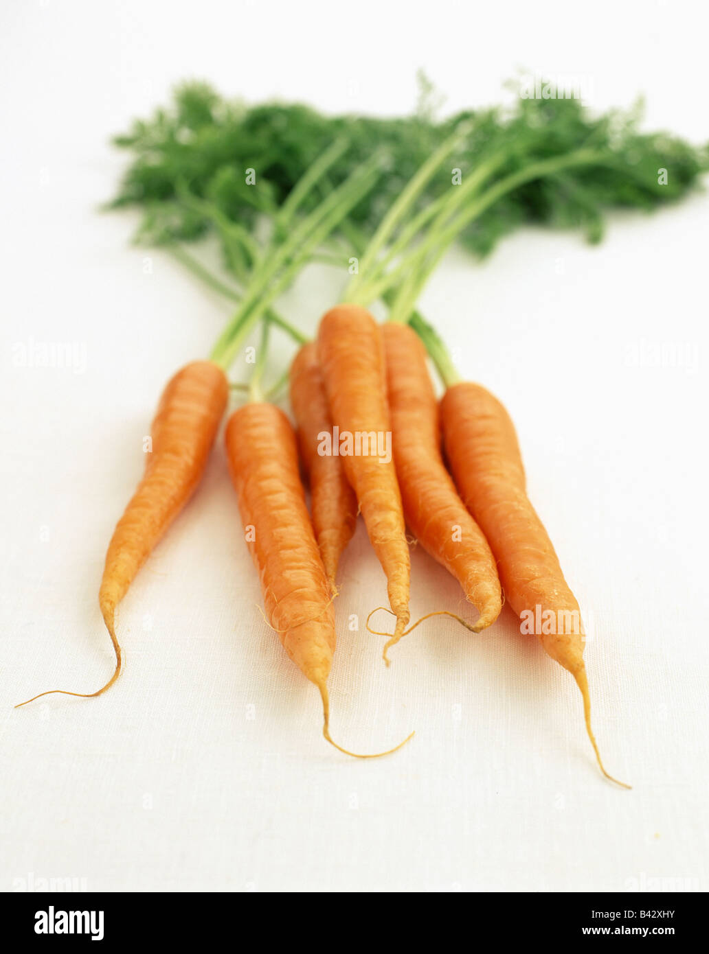 Six fresh carrots hi-res stock photography and images - Alamy