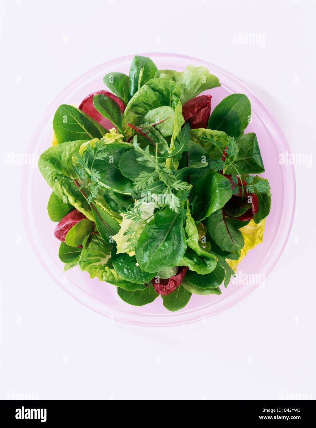 Salad leaf lettuce Cut Out Stock Images & Pictures - Alamy