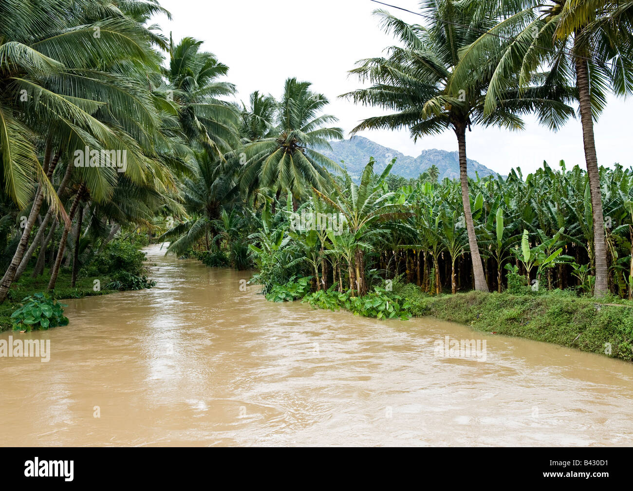 River from mountains flowing through farms providing its water for ...
