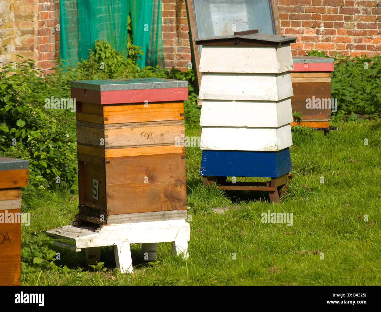 Beehives, Orpington, Kent, UK Stock Photo - Alamy