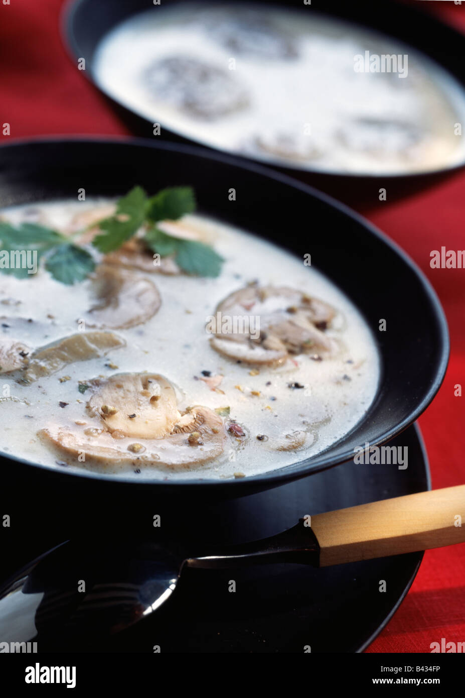 Mushroom soup with coconut milk and coriander Stock Photo - Alamy
