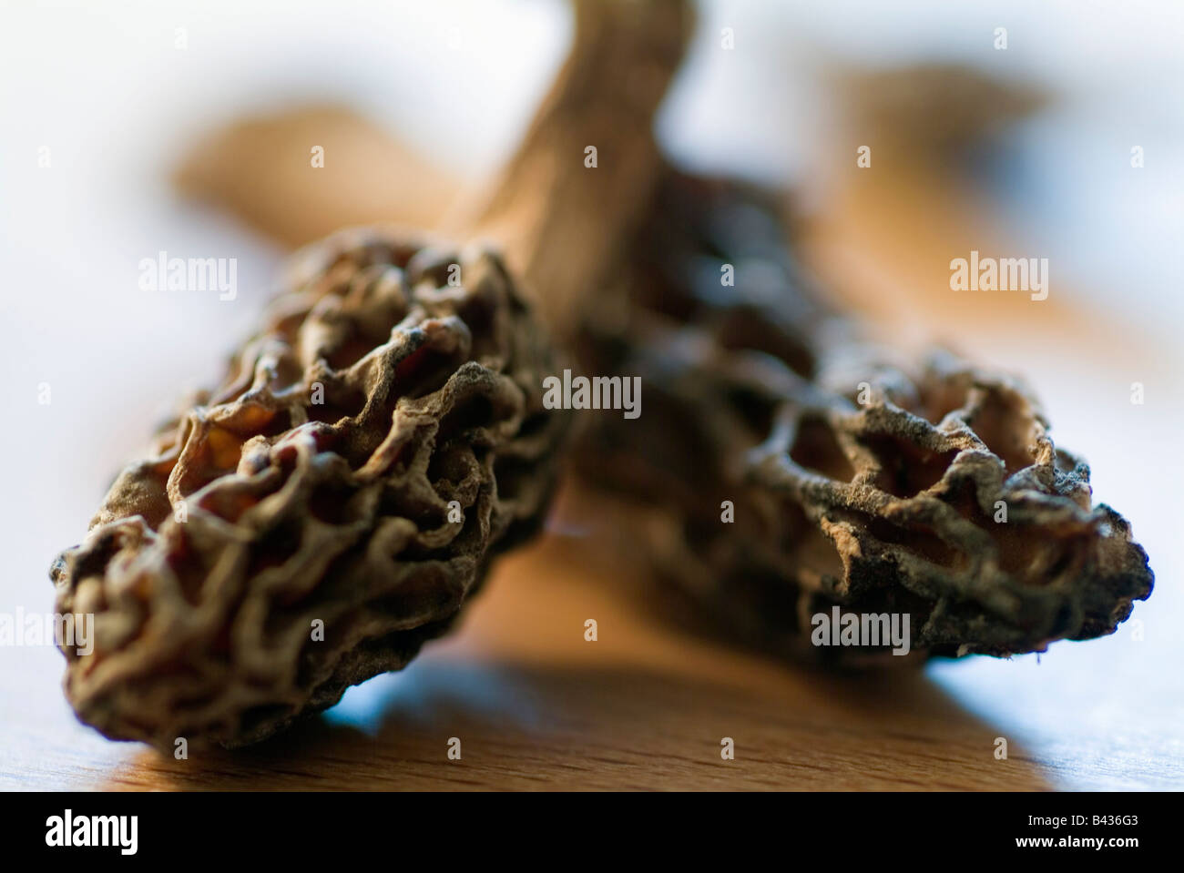 dried morel mushrooms Stock Photo - Alamy