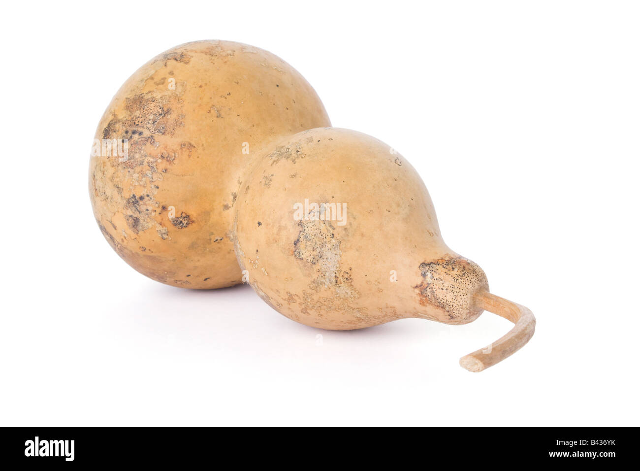 Bottle gourd isolated on a white background Stock Photo - Alamy