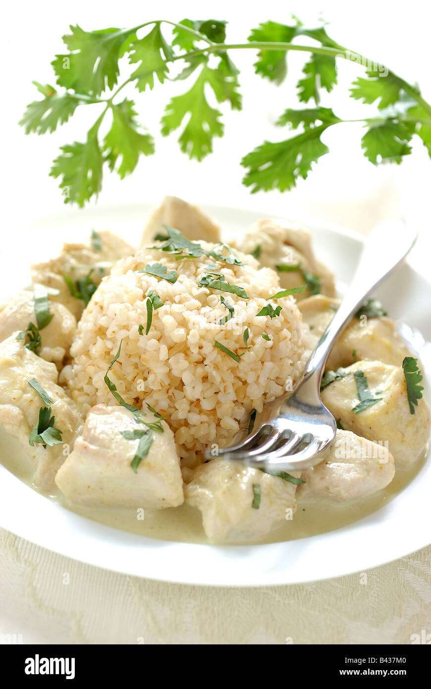 curried chicken with rice timbale Stock Photo - Alamy
