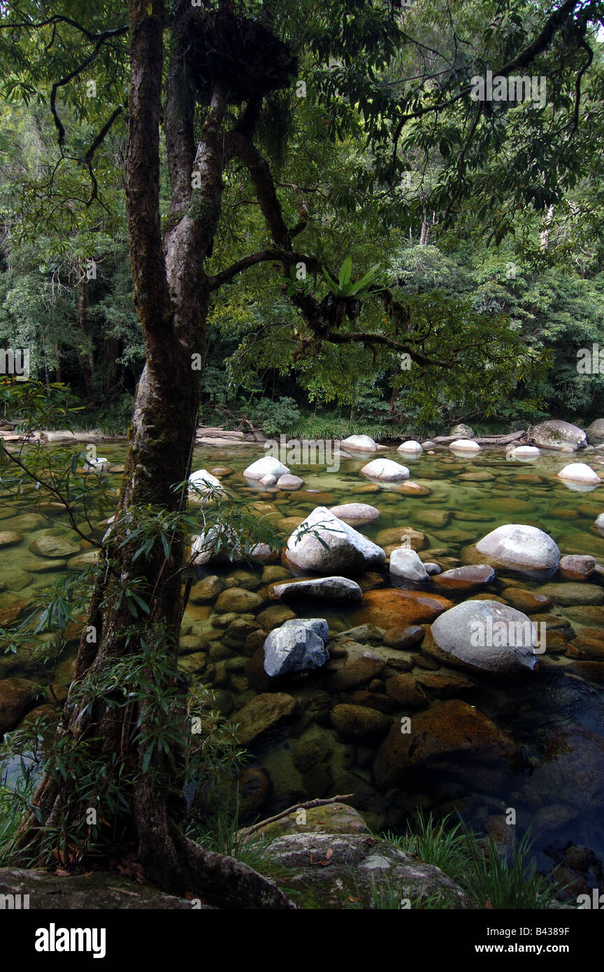 Mossman River, Mossman Gorge, Daintree National Park, north Queensland ...