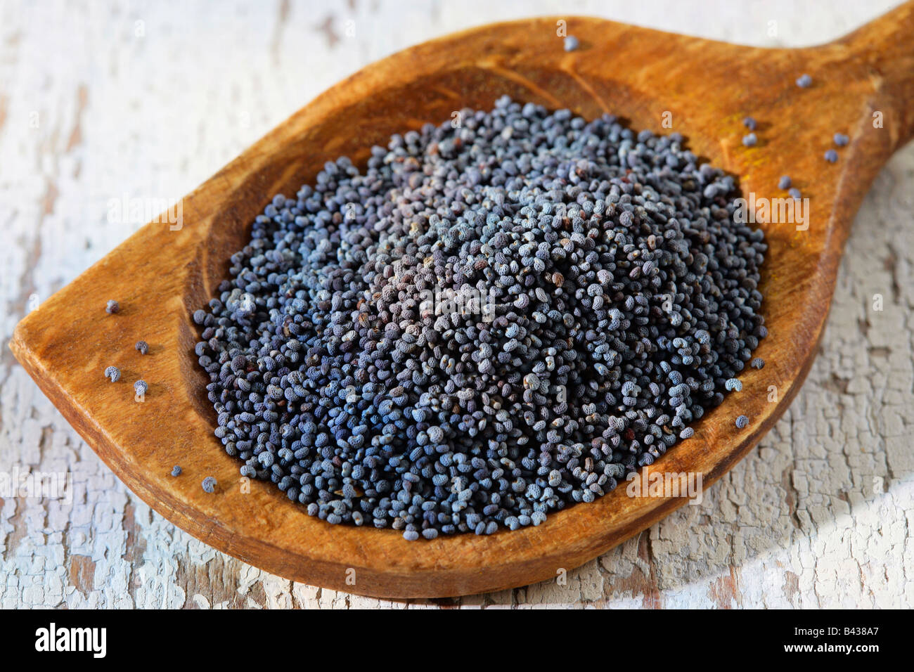 Blue poppy seeds Stock Photo - Alamy
