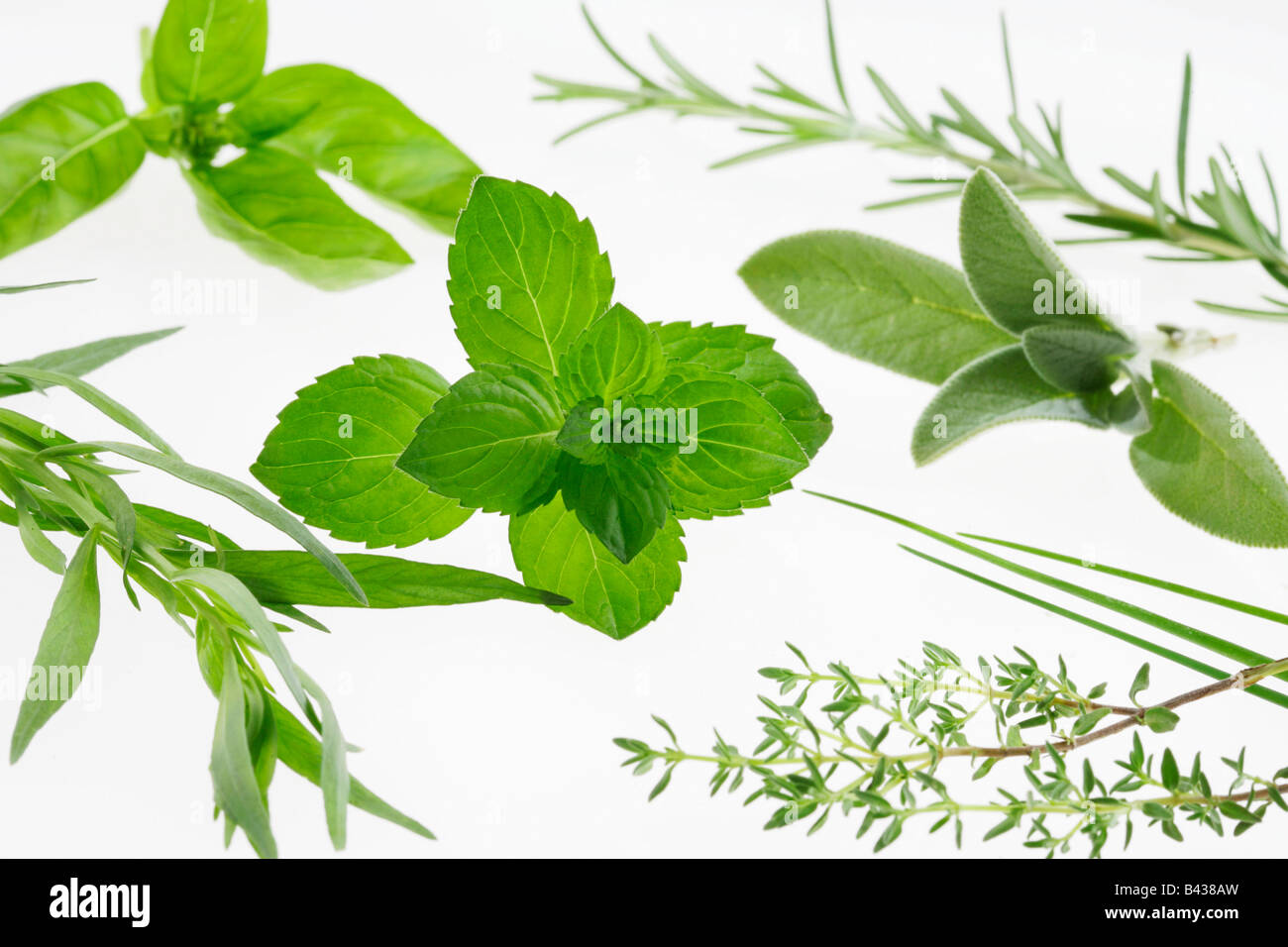 Harbs hi-res stock photography and images - Alamy