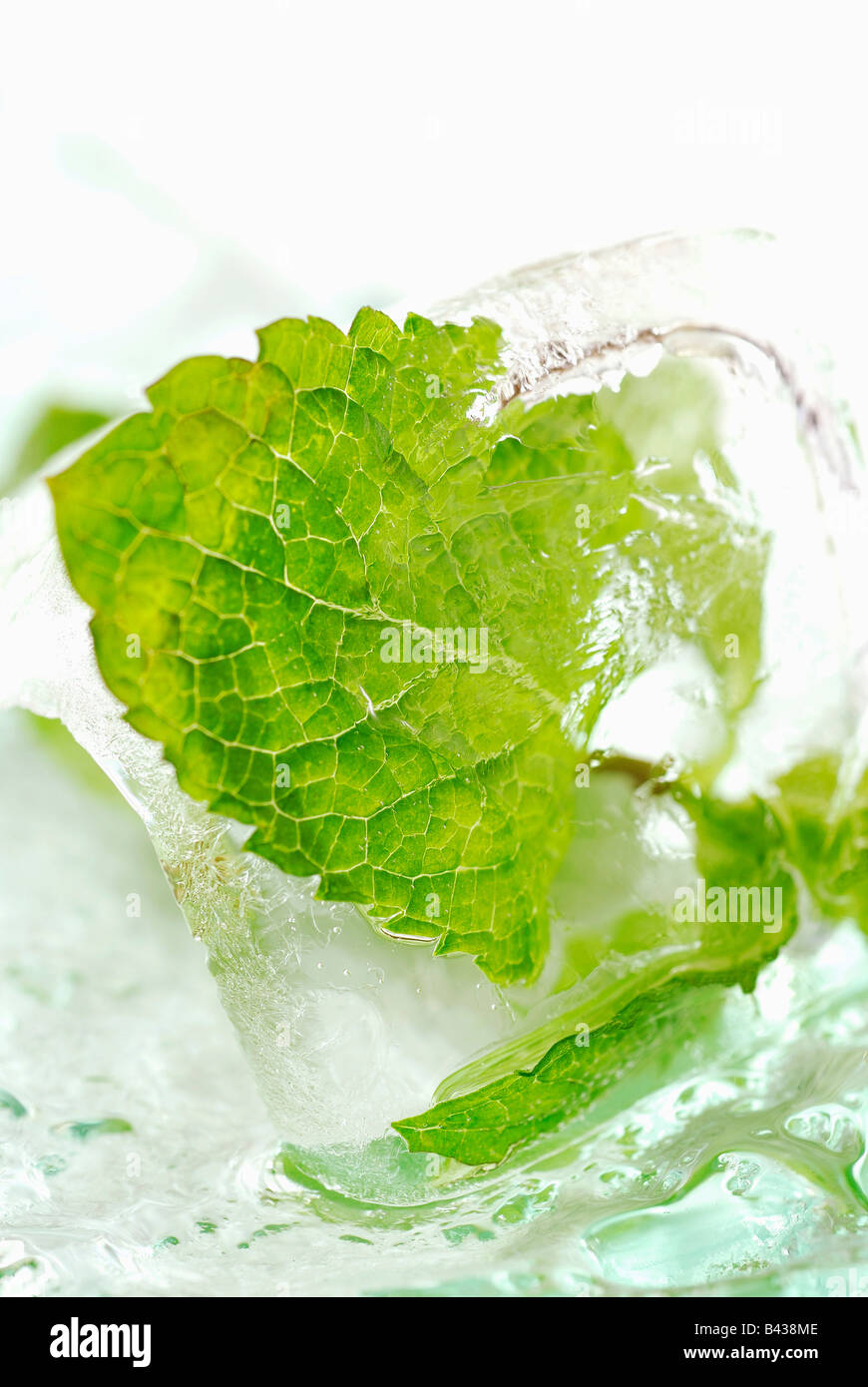Fresh mint leaf in ice cube Stock Photo - Alamy
