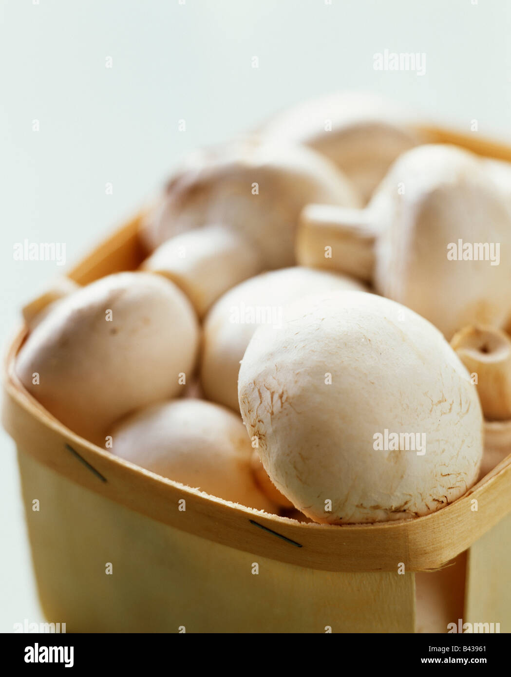 Punnet Of Mushrooms High Resolution Stock Photography and Images - Alamy