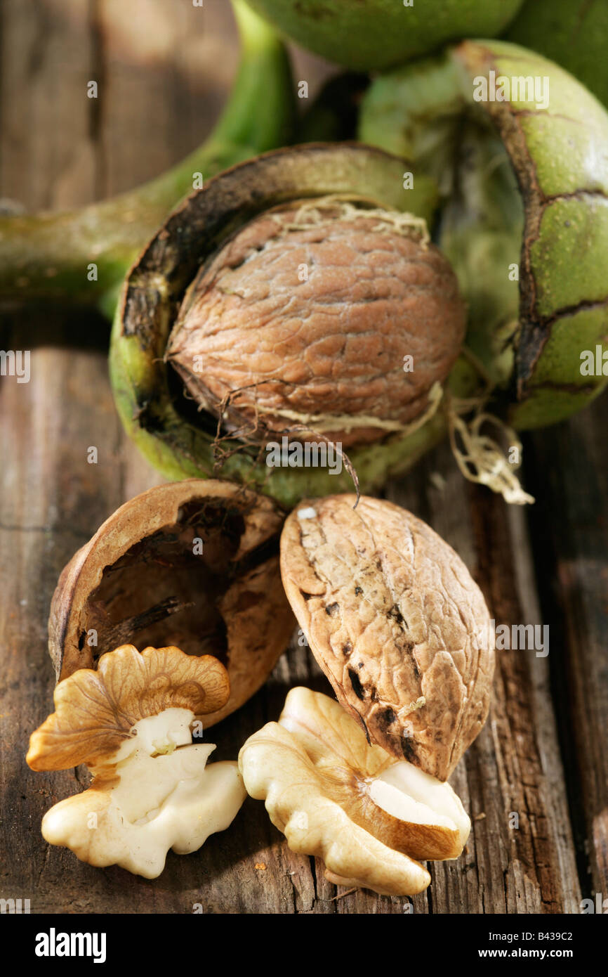 Open walnut and shell Stock Photo - Alamy