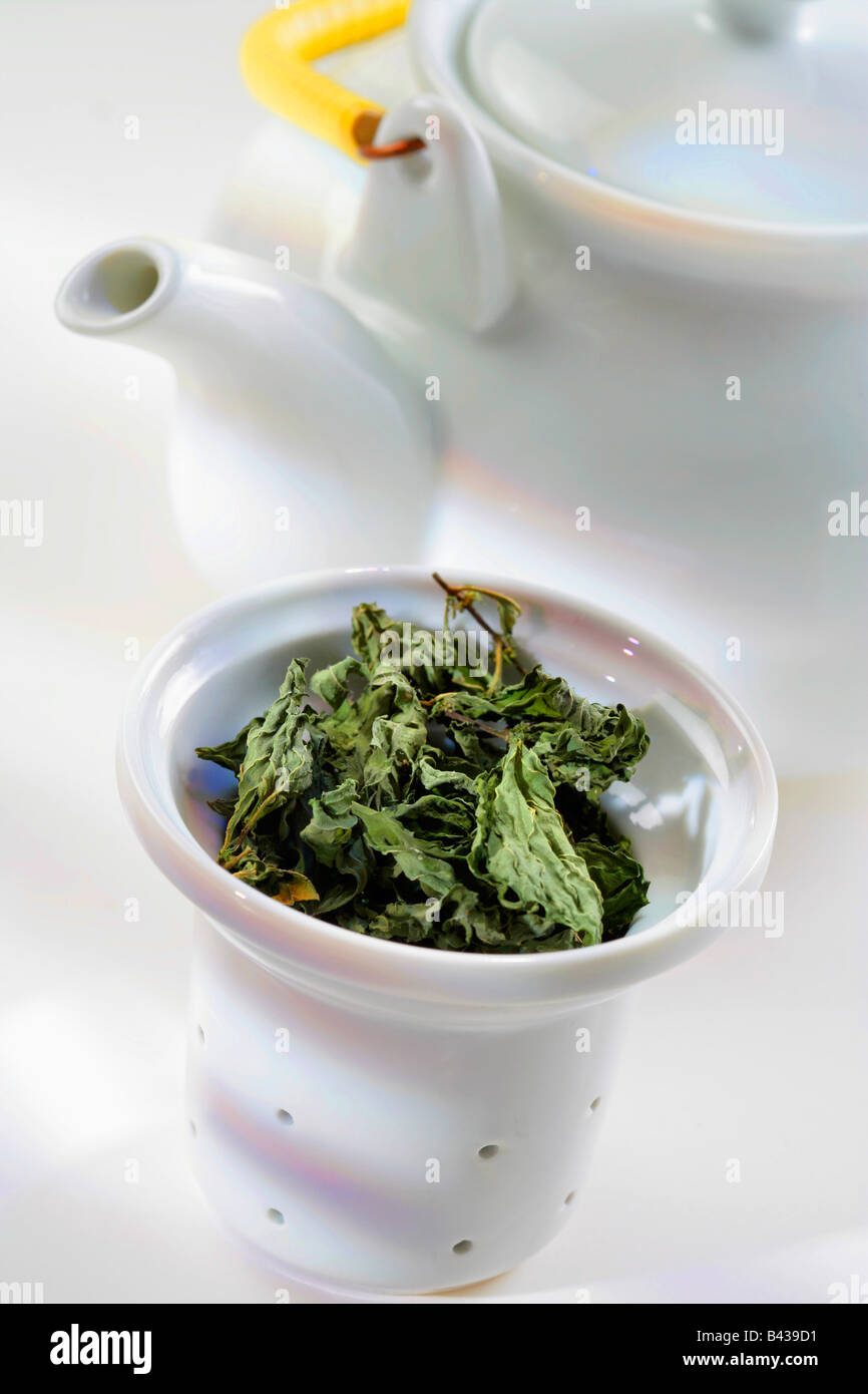 Sieve for infusion tea hi-res stock photography and images - Alamy