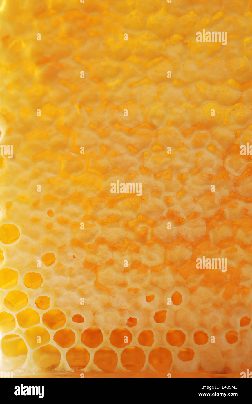 Close-up of a honeycomb Stock Photo - Alamy