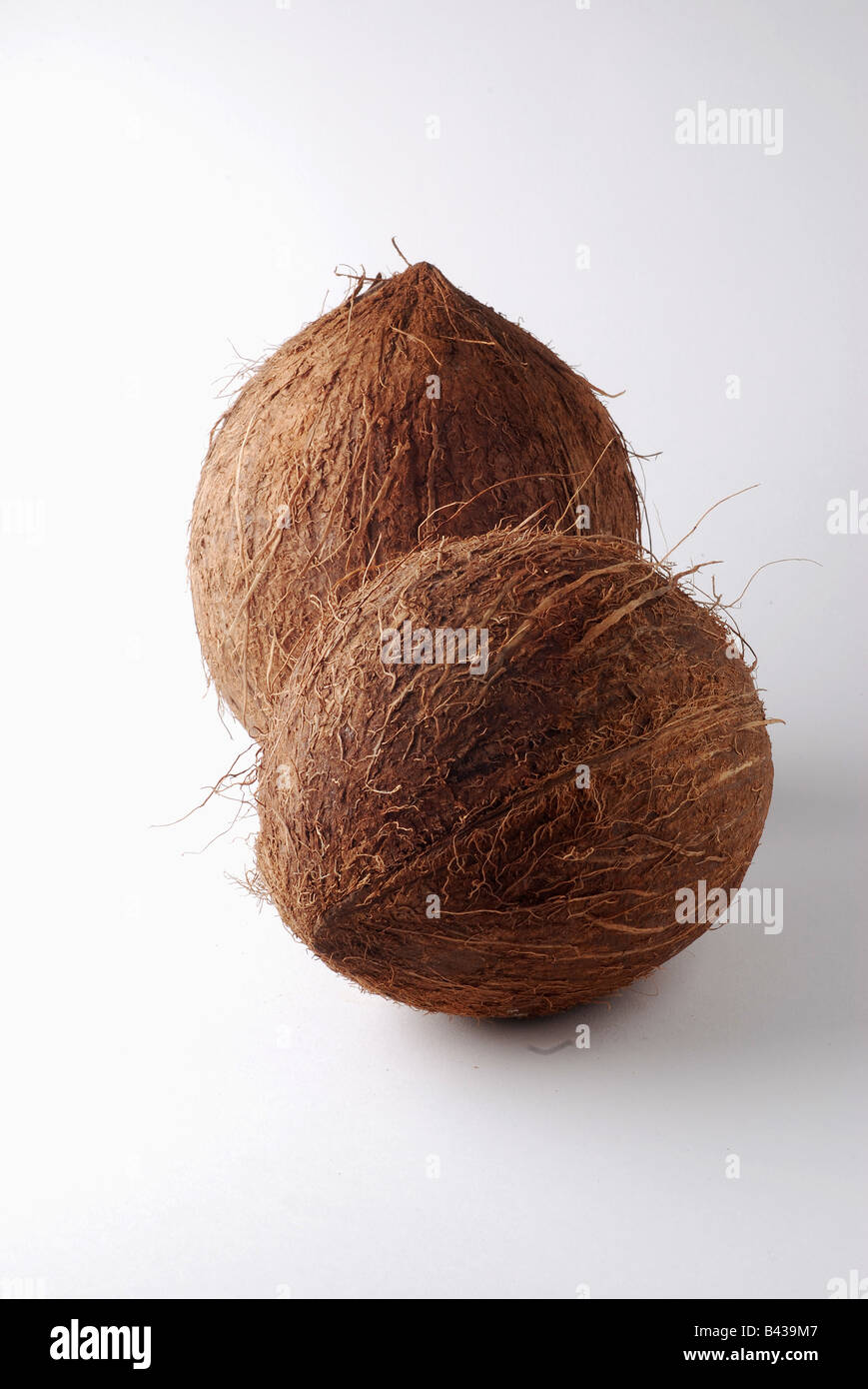 Two Coconut High Resolution Stock Photography and Images - Alamy