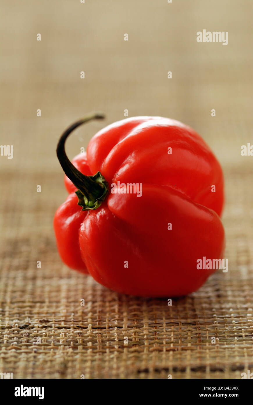 West Indian red pepper Stock Photo - Alamy