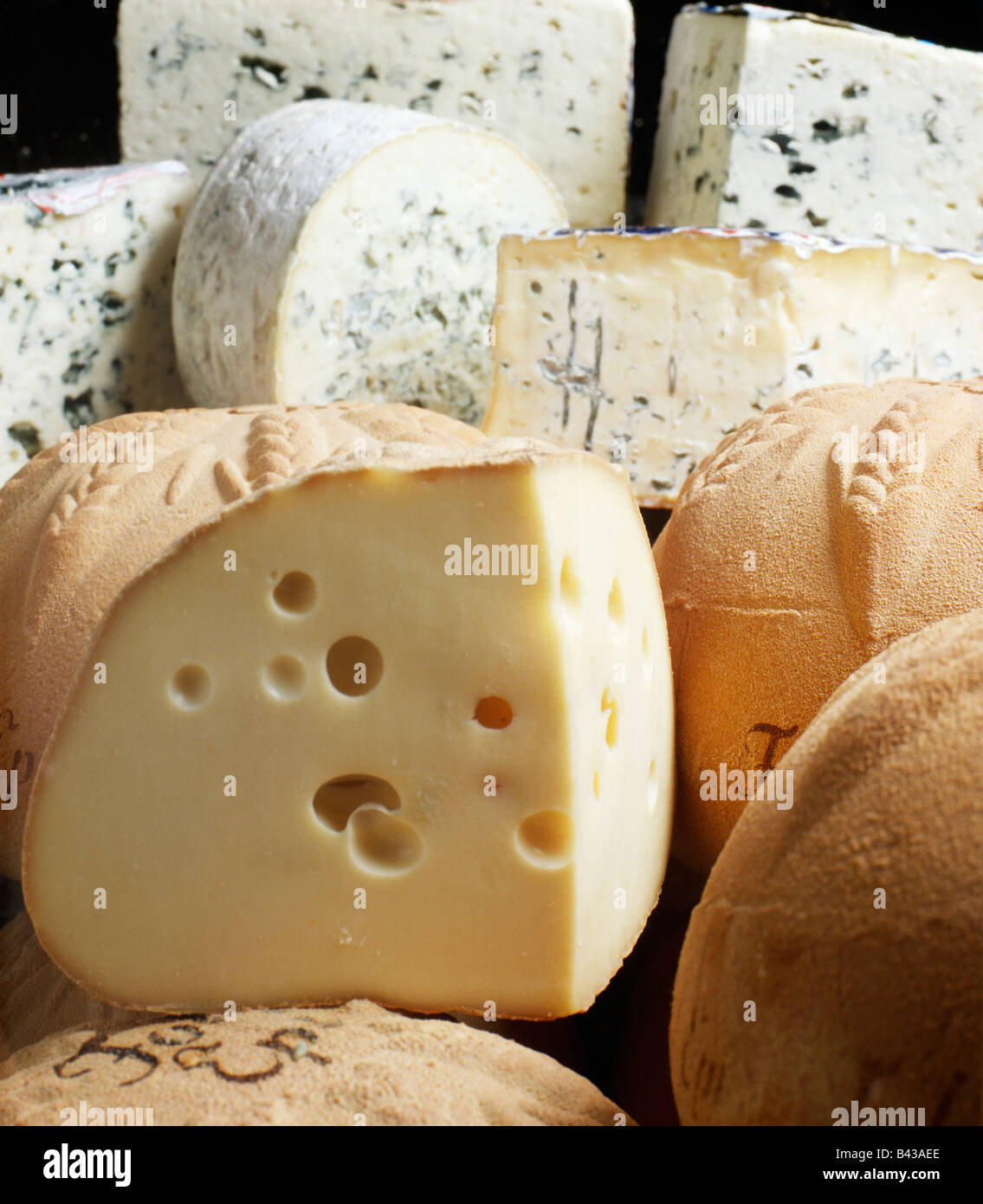 Fol Stock Photos & Fol Stock Images - Alamy