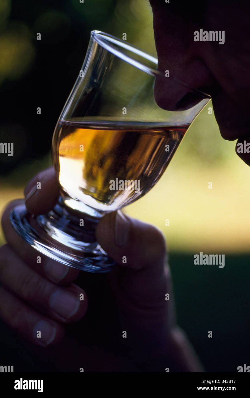 person inhaling wine Stock Photo - Alamy