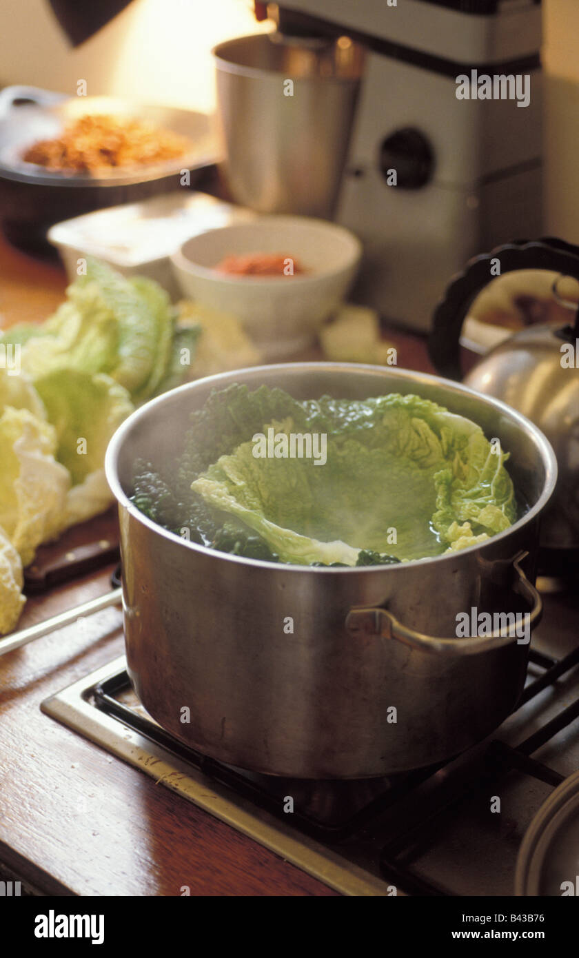 cabbage in cooking pot Stock Photo - Alamy
