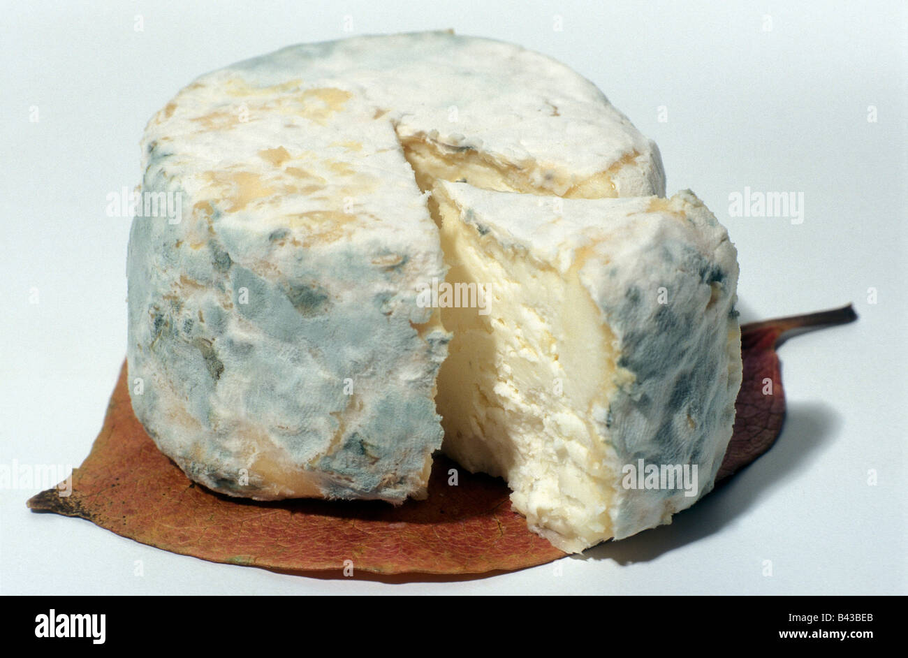 Chaource hi-res stock photography and images - Alamy